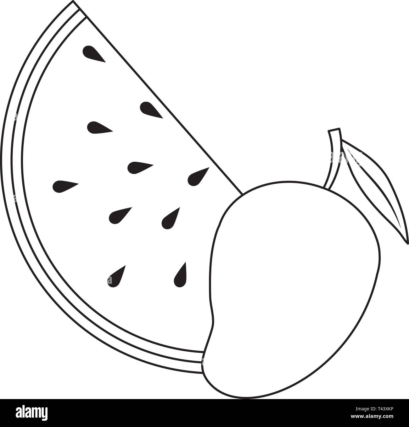 fresh healthy slice of watermelon and mango fruits vector illustration ...