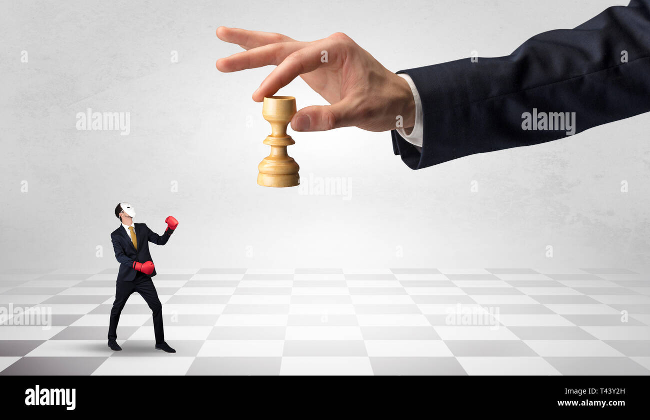 Rooks fighting hi-res stock photography and images - Alamy