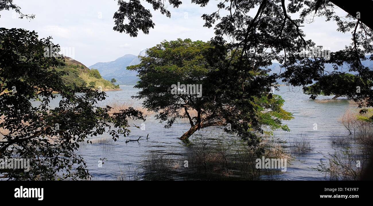 Pollachi hi-res stock photography and images - Alamy