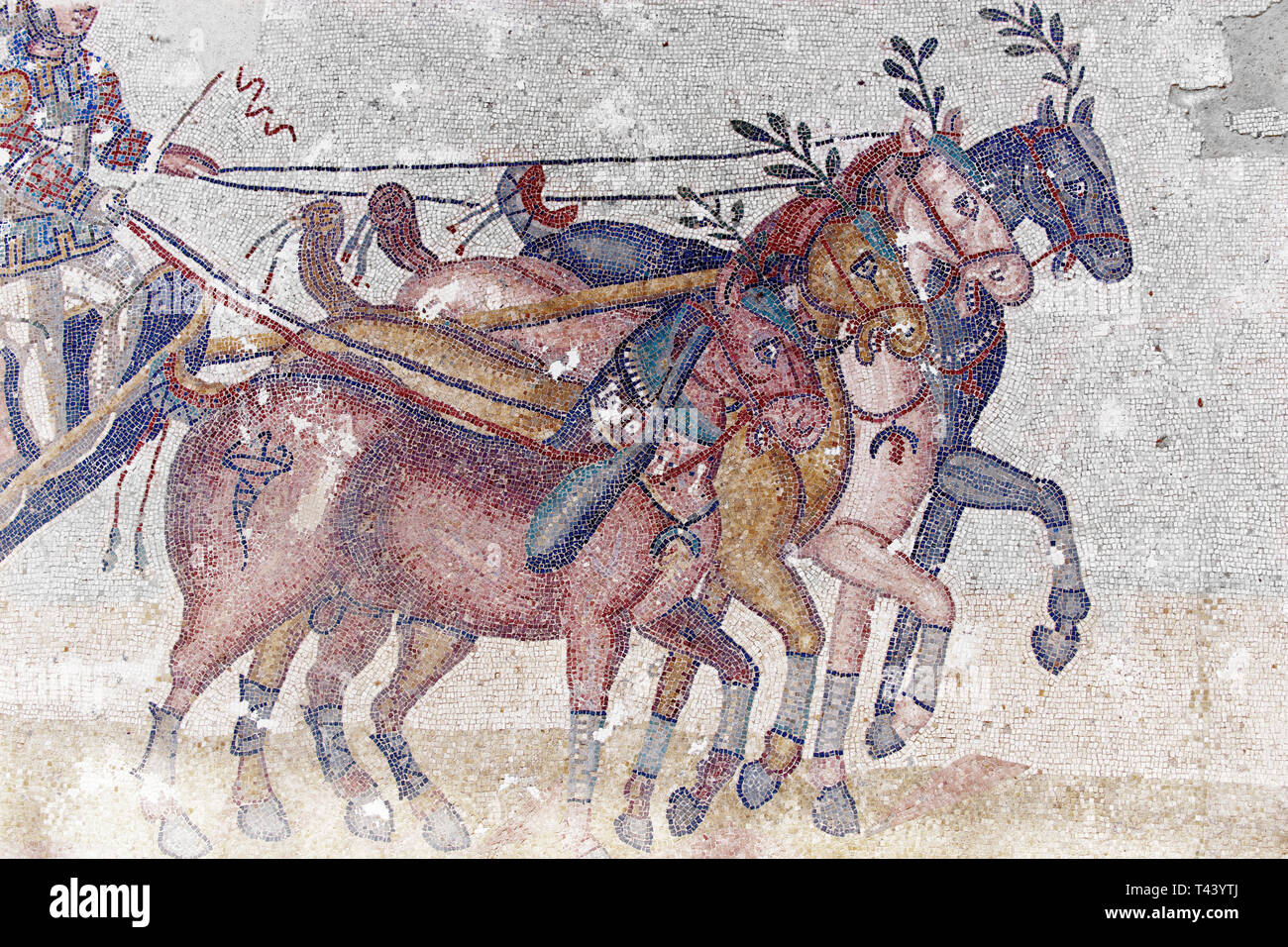 Close up of a chariot racing at the Circus Maximus Chariot racing at ...