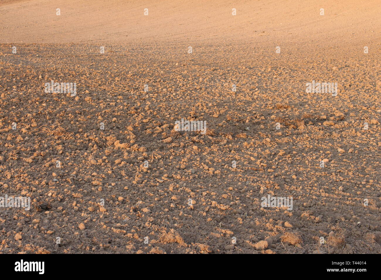 Natural Background: A field at Suwalszczyzna, Podlasie, Poland Stock ...