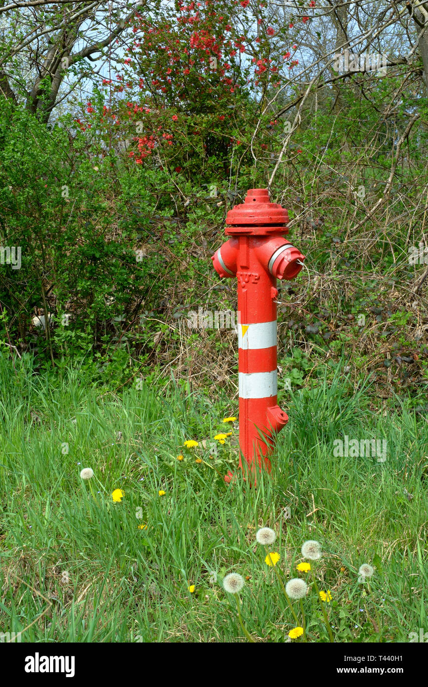 bright red fire hydrant standing at the side of a rural countryside ...