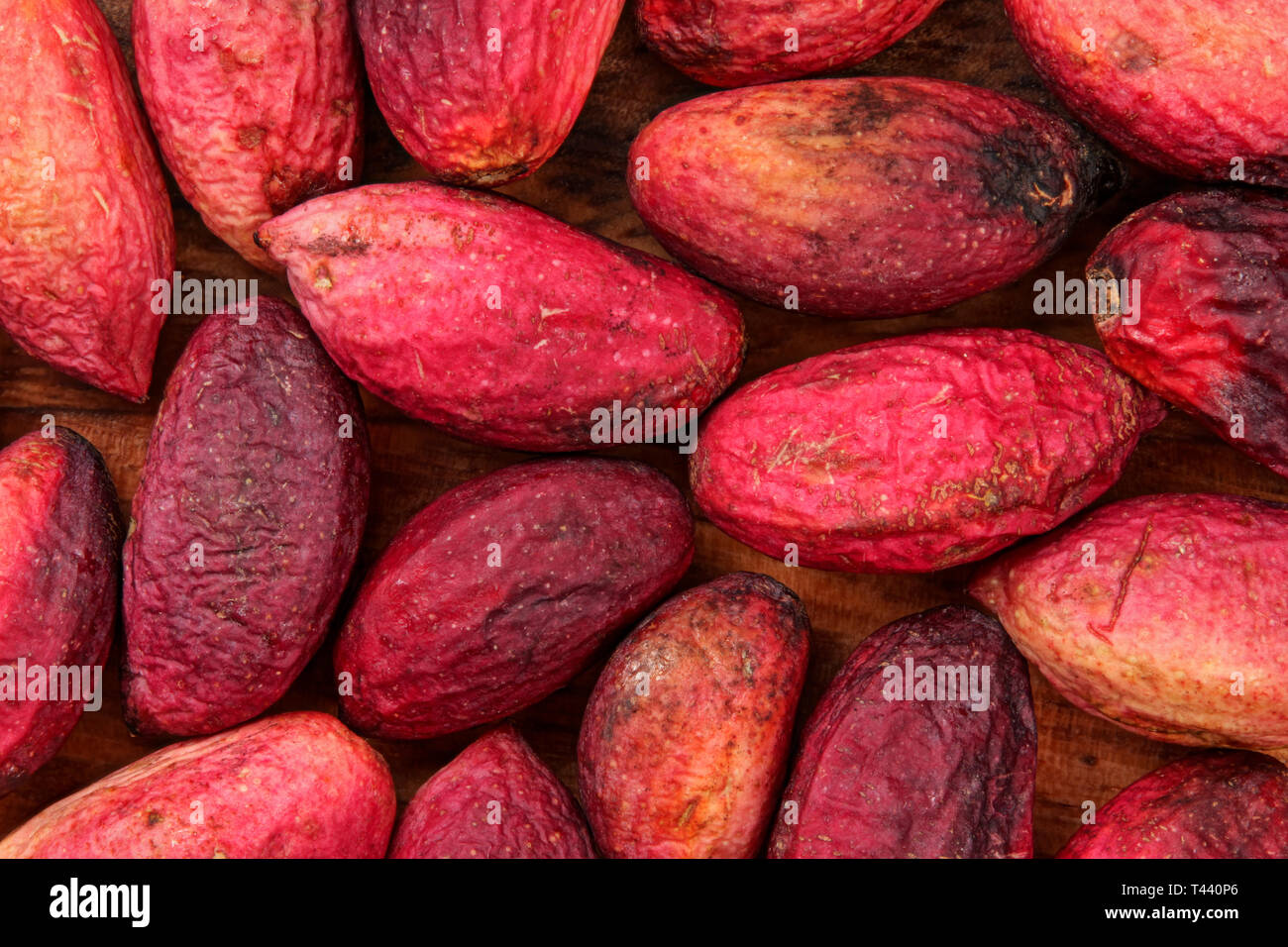 Wrinkled shell hi-res stock photography and images - Alamy