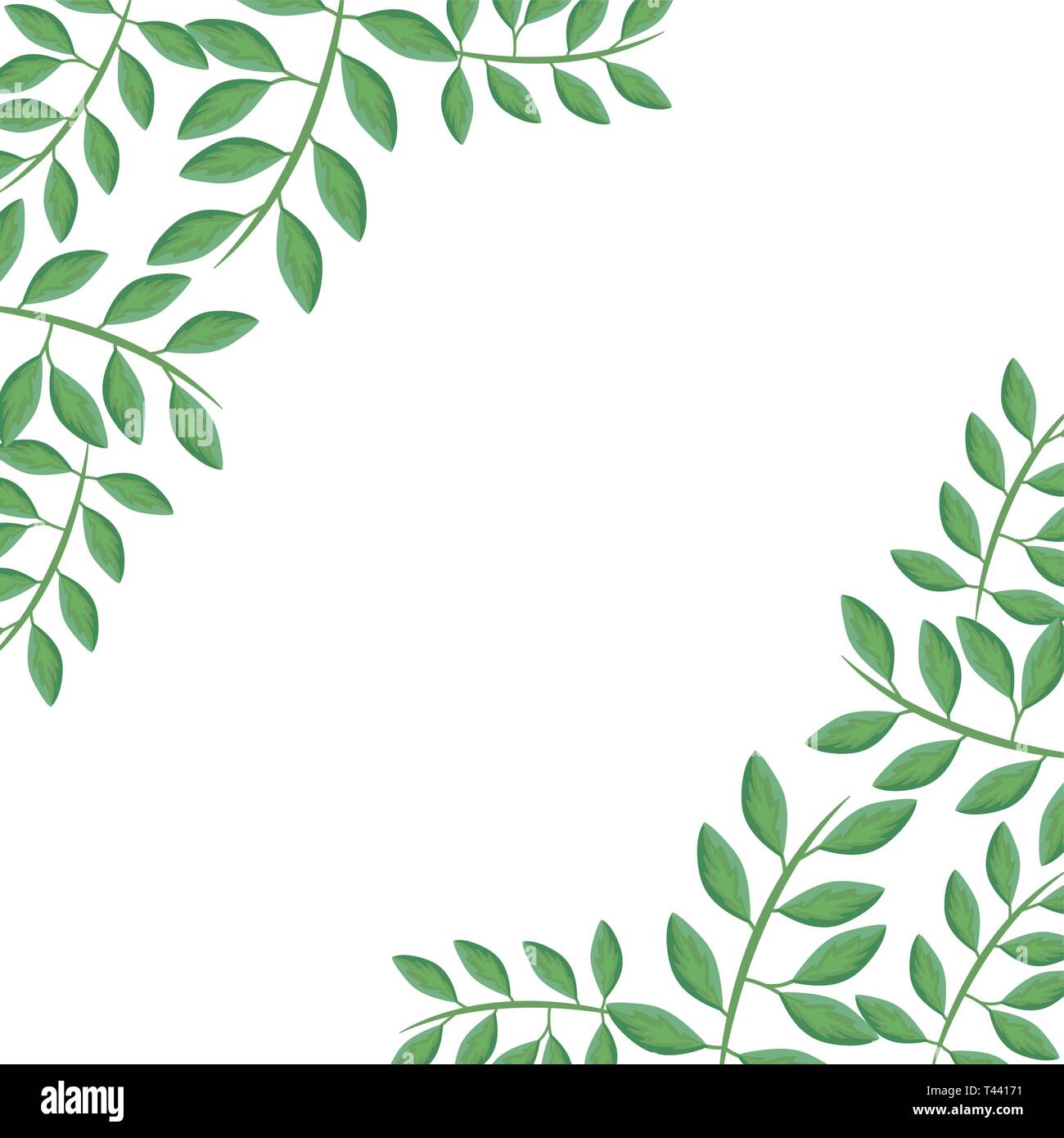 frame of branches with leafs natural vector illustration design Stock ...