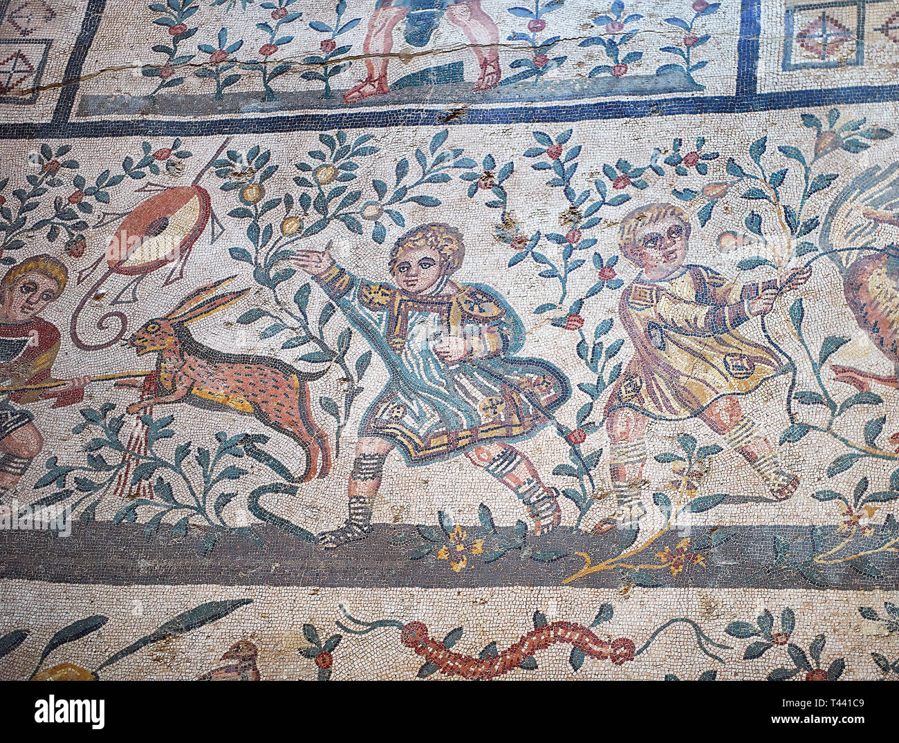 Close up detail picture of the Roman mosaics of the Room of the ...