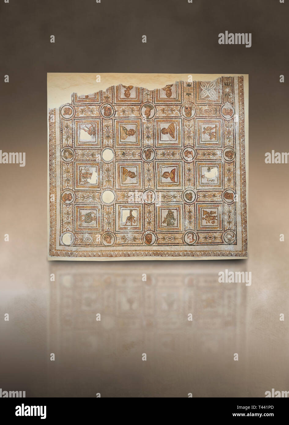 Picture of a Roman mosaics design depicting the Muses inside medallions ...