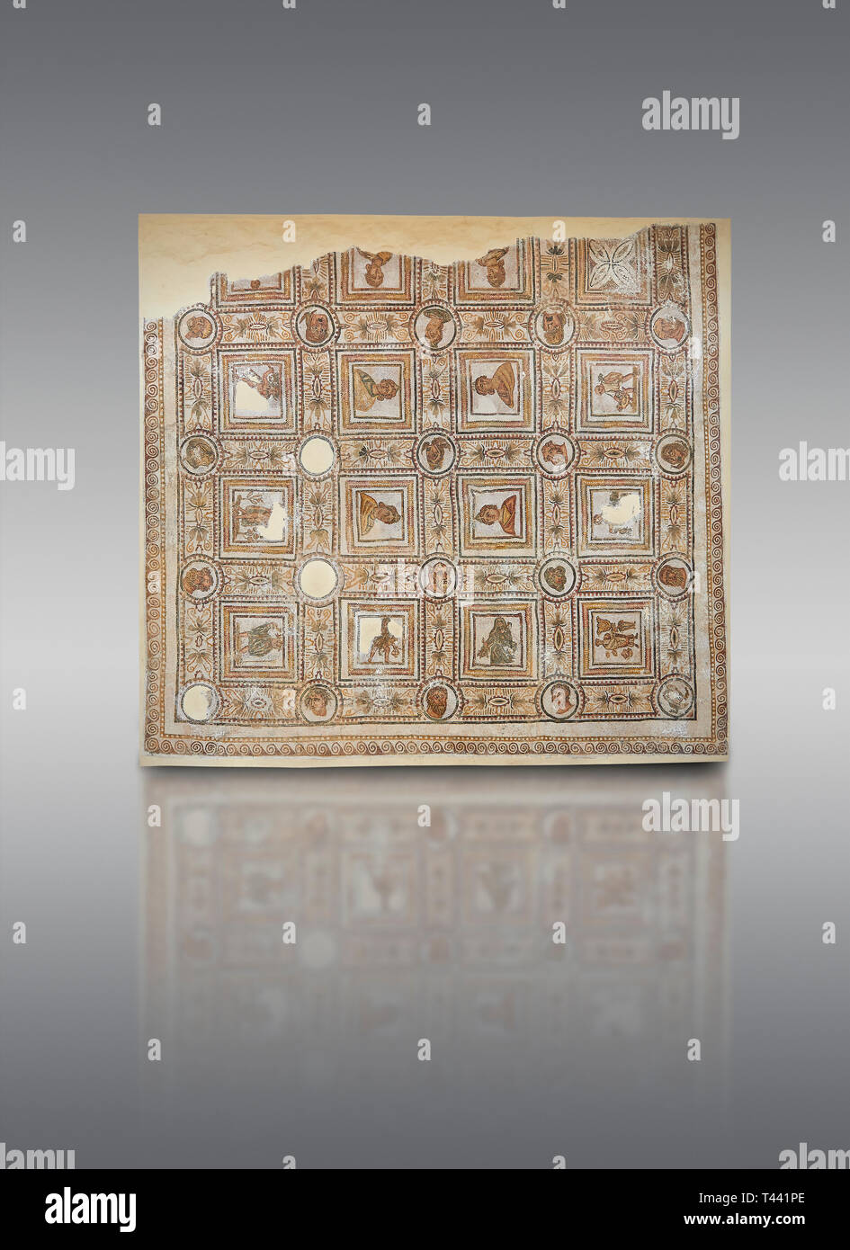 Picture of a Roman mosaics design depicting the Muses inside medallions ...