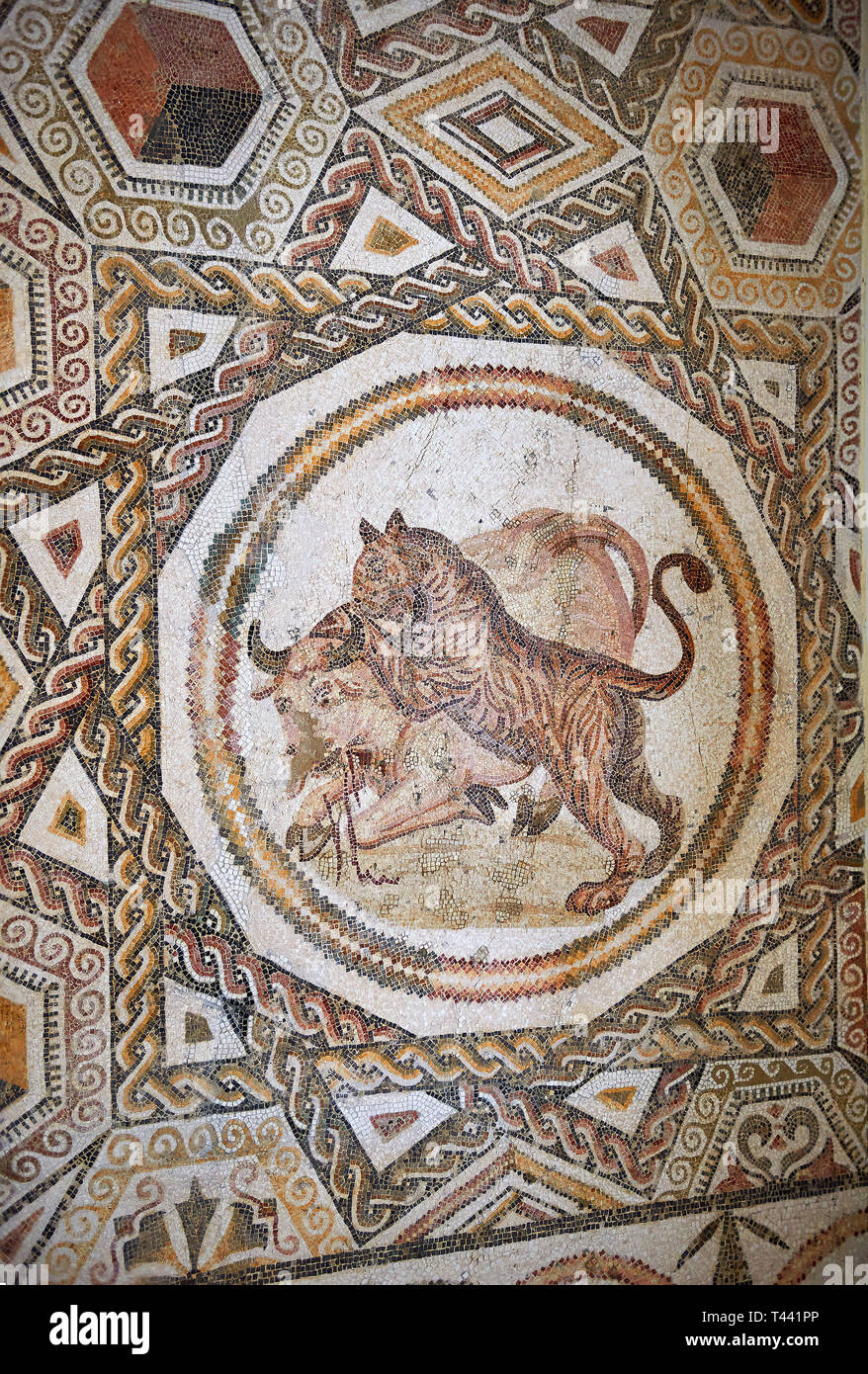 Picture of a geometric Roman mosaics design depicting lions hunting ...