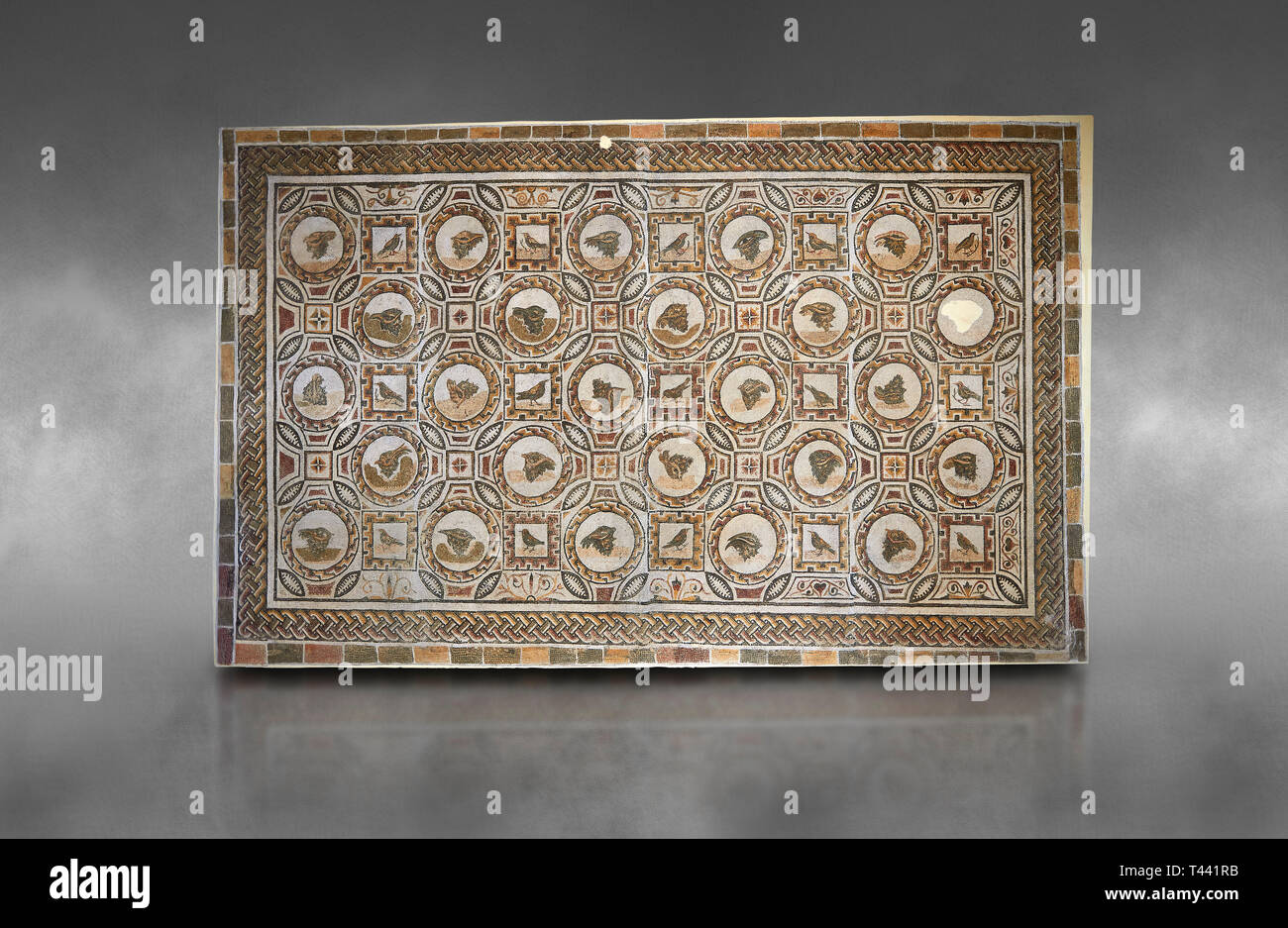 Picture of a Roman mosaics design depicting shells and birds, from the ...