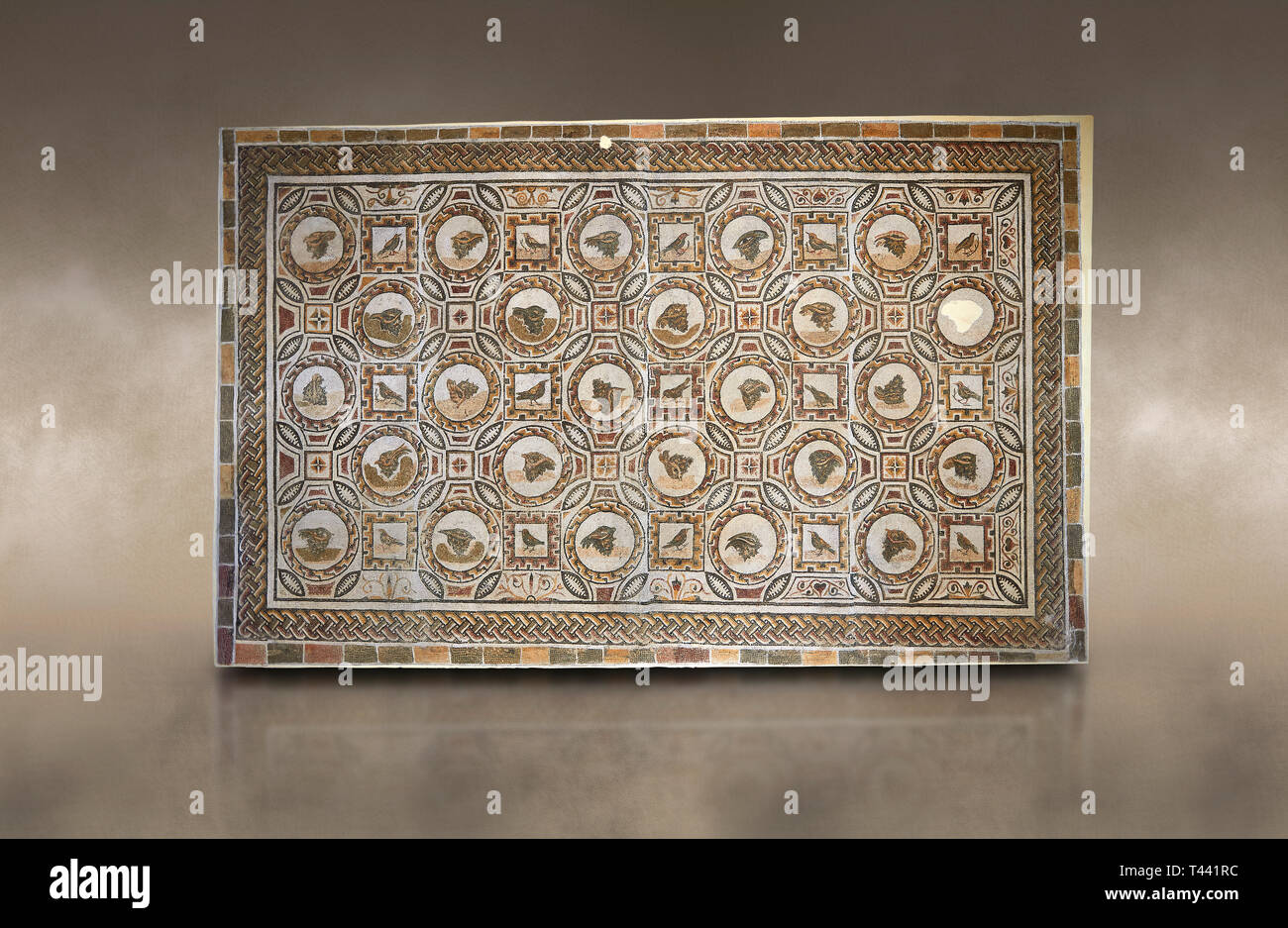 Picture of a Roman mosaics design depicting shells and birds, from the ...