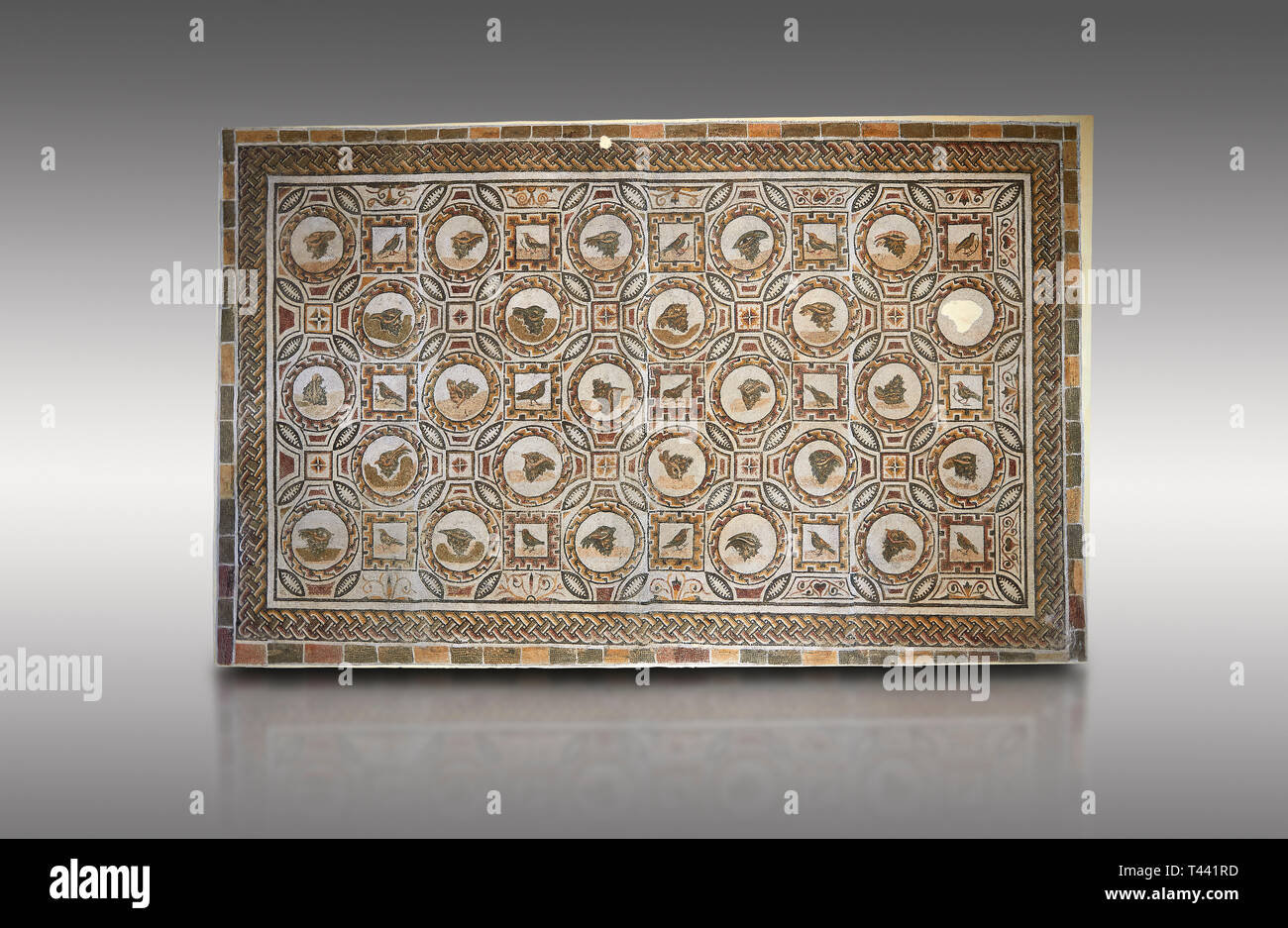 Picture of a Roman mosaics design depicting shells and birds, from the ...
