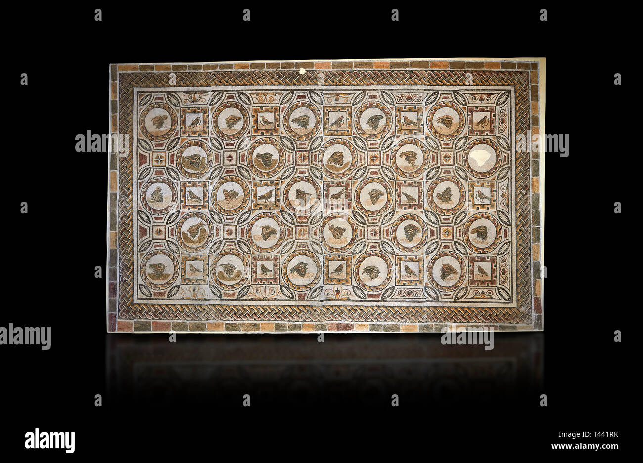 Picture of a Roman mosaics design depicting shells and birds, from the ...