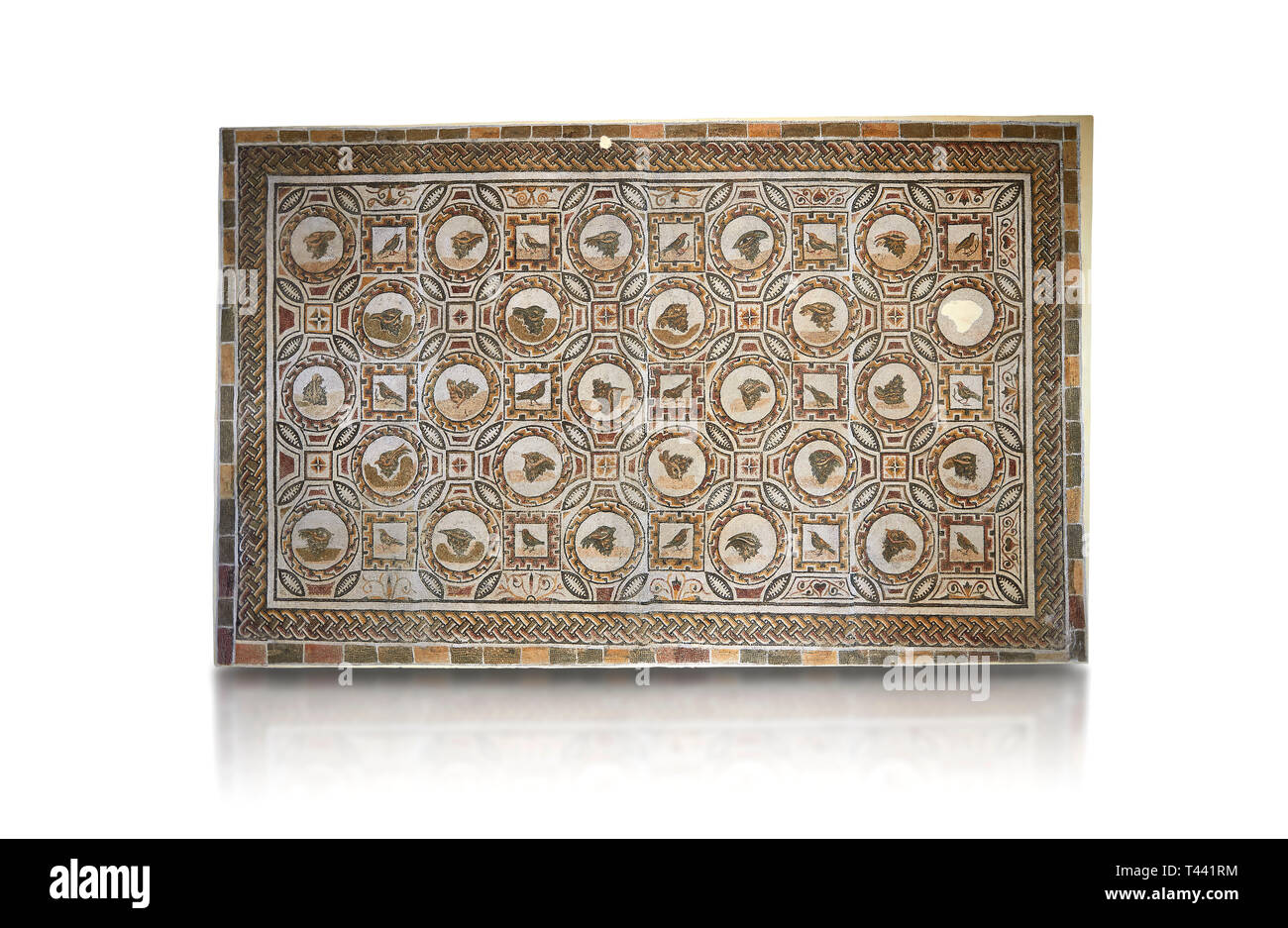 Picture of a Roman mosaics design depicting shells and birds, from the ...