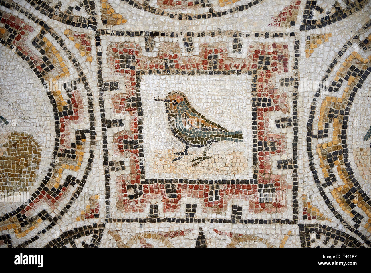 Picture of a Roman mosaics design depicting shells and birds, from the ...