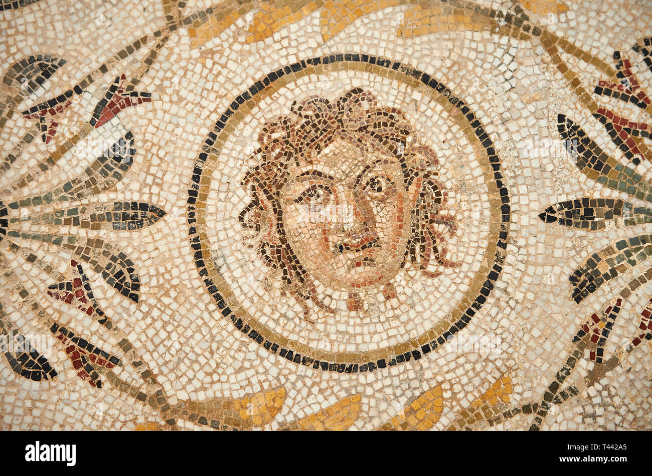 Picture of a Roman Dionysiac mosaics design depicting masks and birds ...