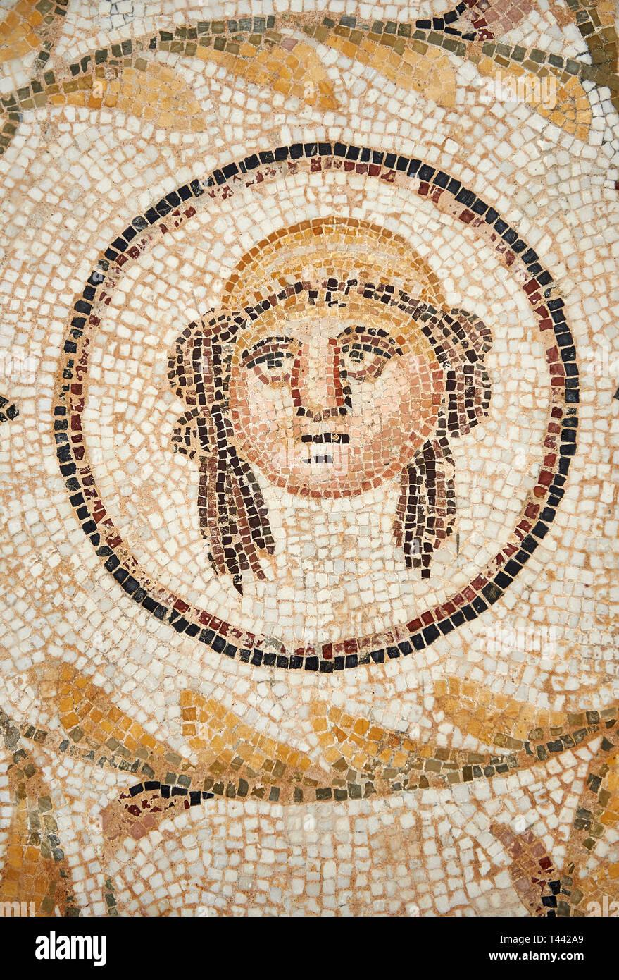 Picture of a Roman Dionysiac mosaics design depicting masks and birds ...