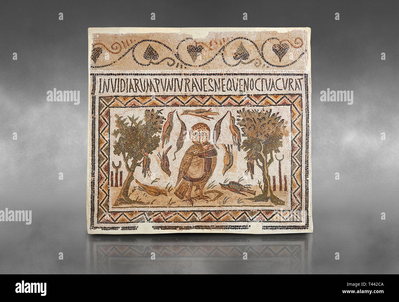 Picture of a Roman mosaics design depicting an owl, symbol of victory ...