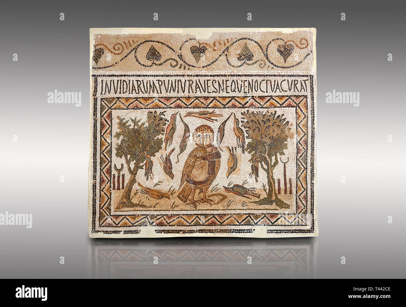 Picture of a Roman mosaics design depicting an owl, symbol of victory ...