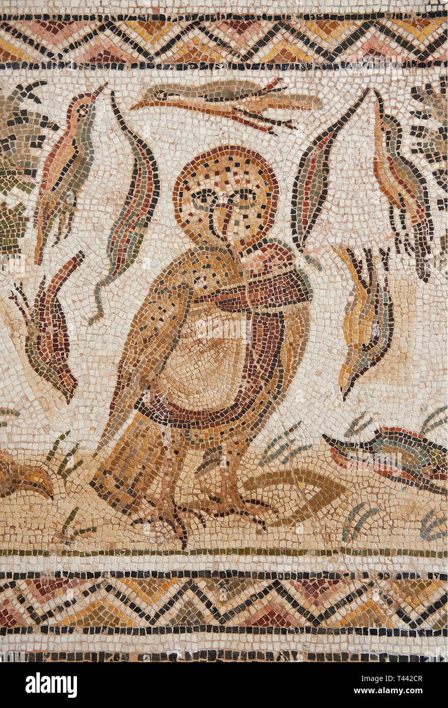Picture of a Roman mosaics design depicting an owl, symbol of victory ...