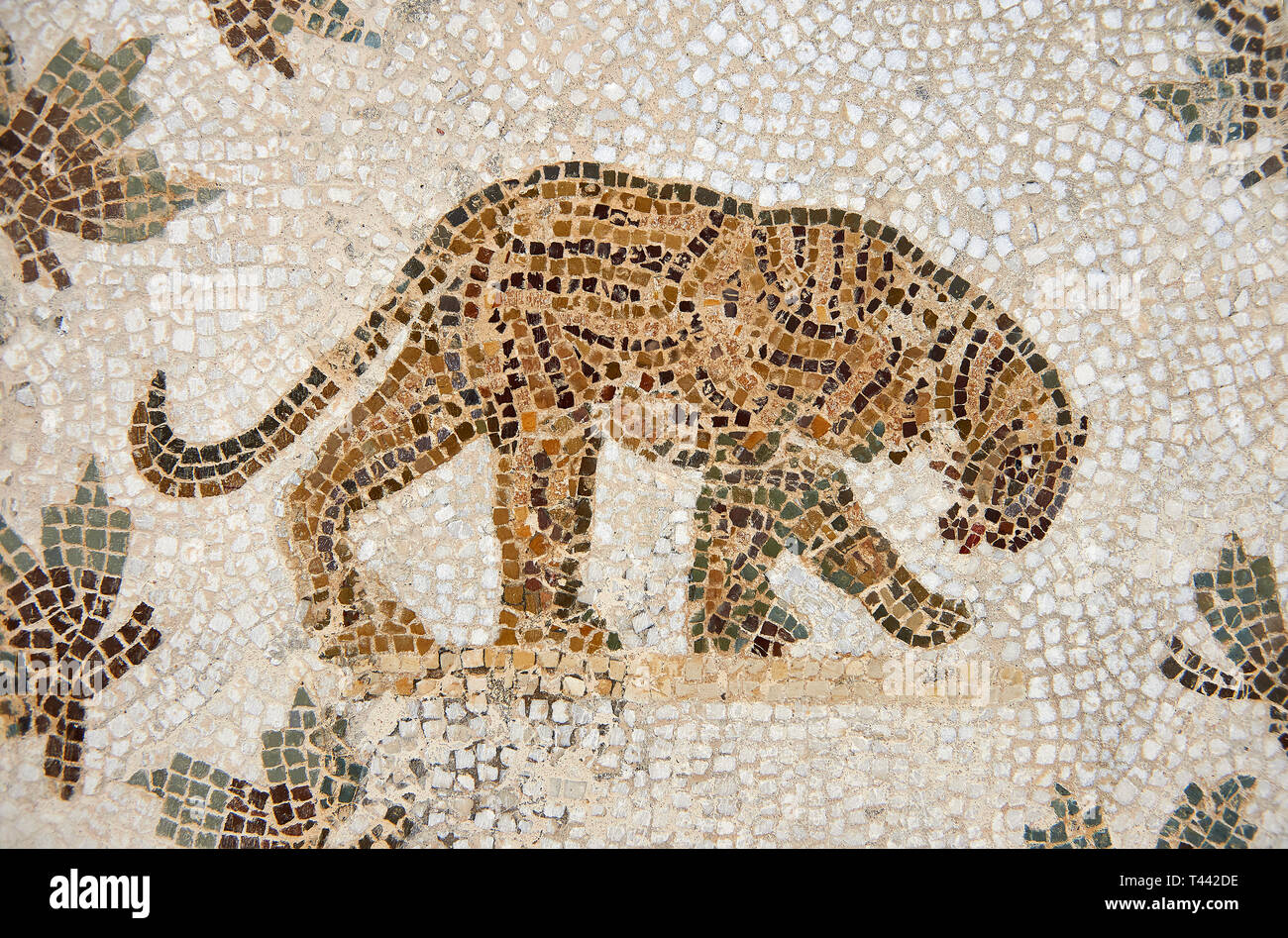 Picture of a Roman mosaics design depicting panthers, from the ancient ...