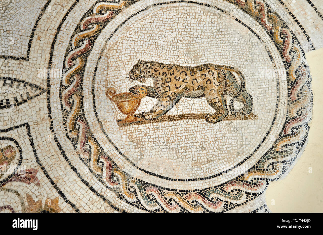 Picture of a Dionysiac Roman mosaics design depicting a panther in ...