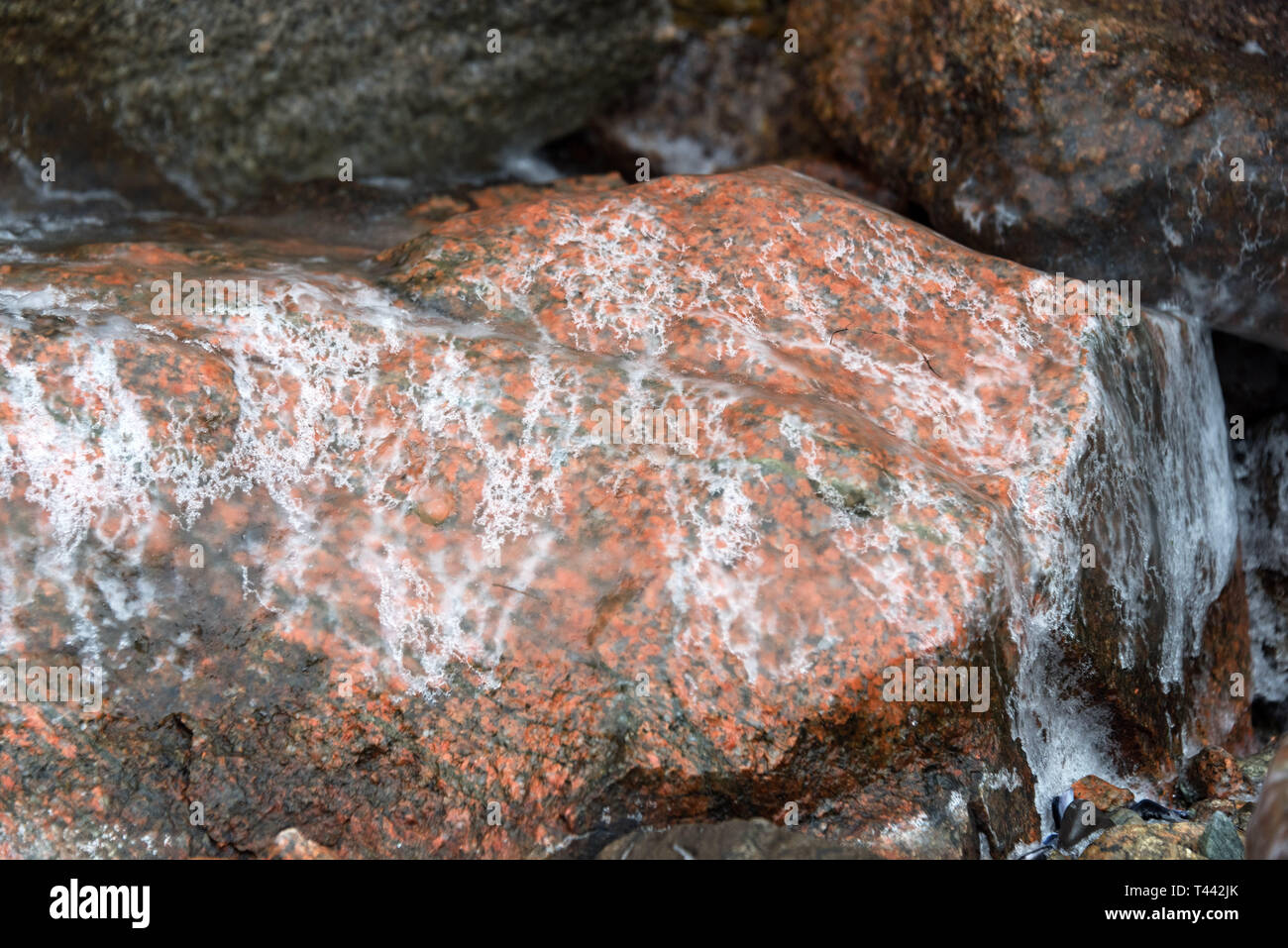 Sea ice forming over pink granite boulder, Northeast Harbor, Maine ...