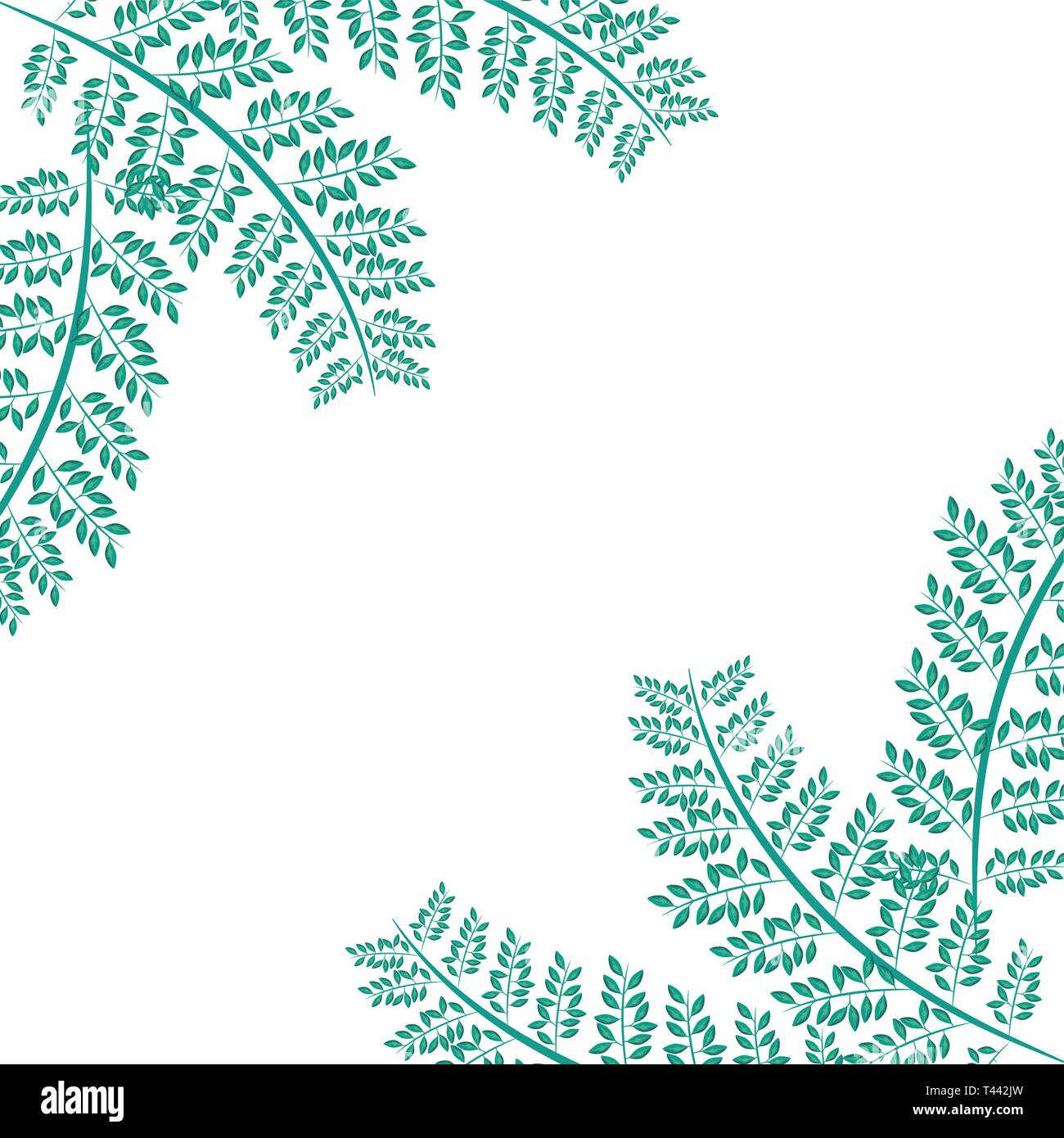 frame of branches with leafs natural vector illustration design Stock ...