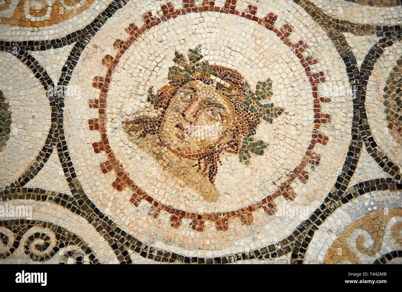 Picture of a Roman mosaics design, from the ancient Roman city of ...