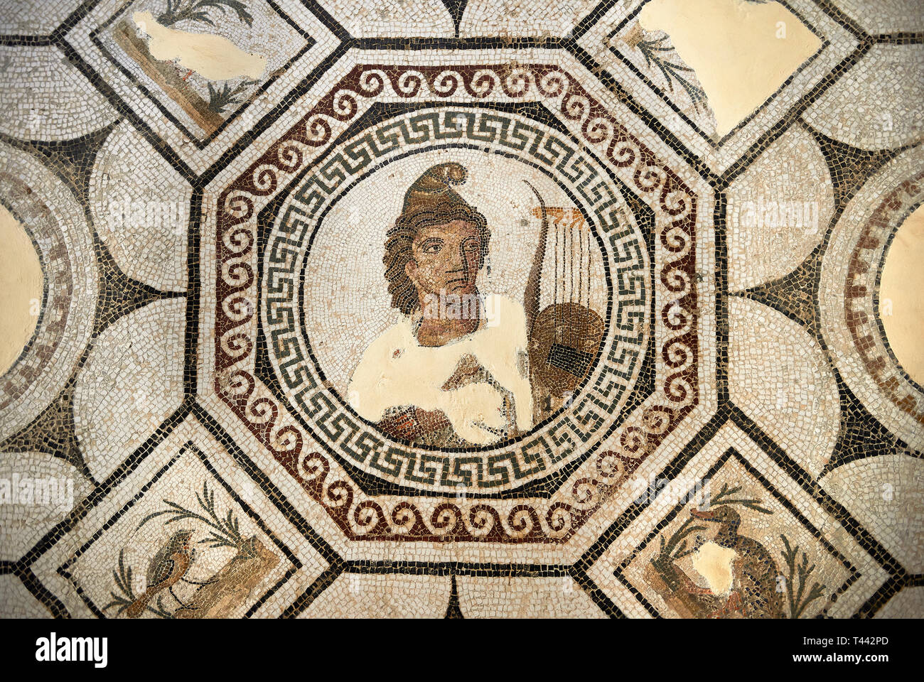 Picture of a Roman mosaics design depicting Orpheus, god of music ...