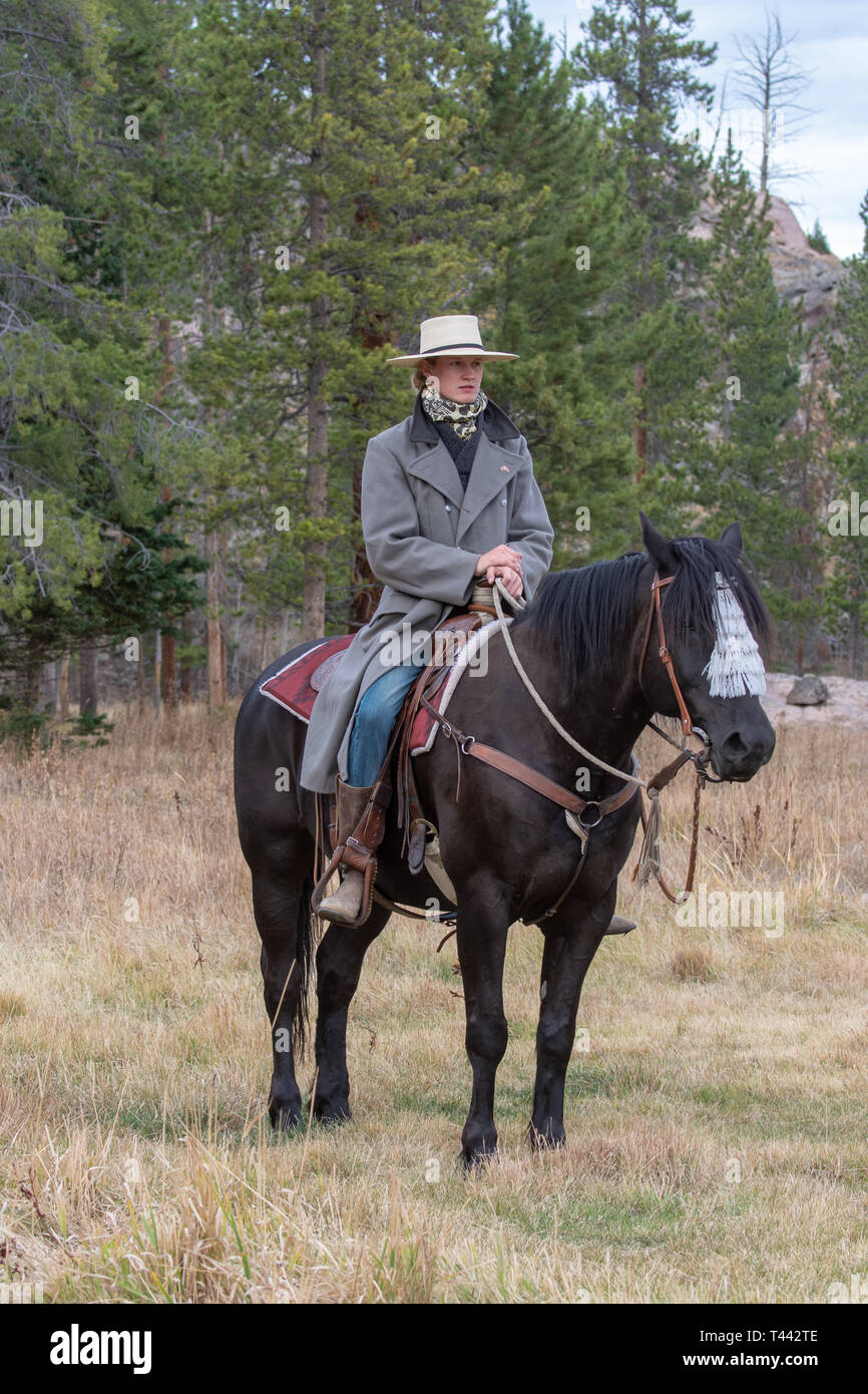 Cowboy work hi-res stock photography and images - Alamy