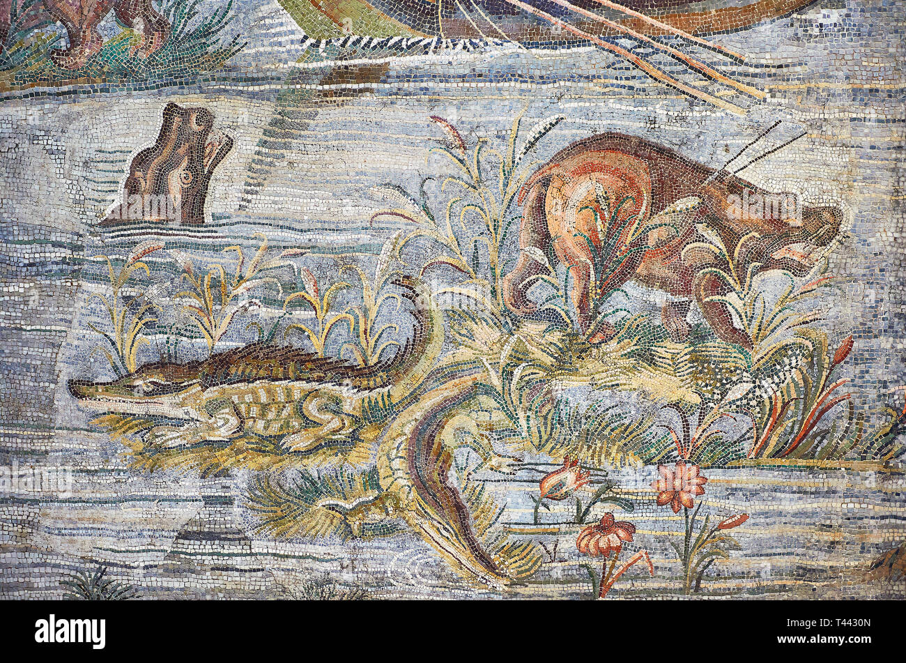 Detail picture of hippo and crocodiles on the Nile from the famous ...