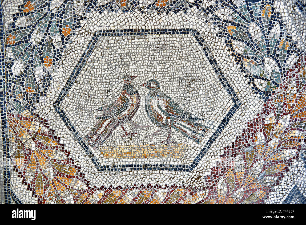 3rd century AD Roman mosaic panel of two birds from Thugga, Tunisia ...