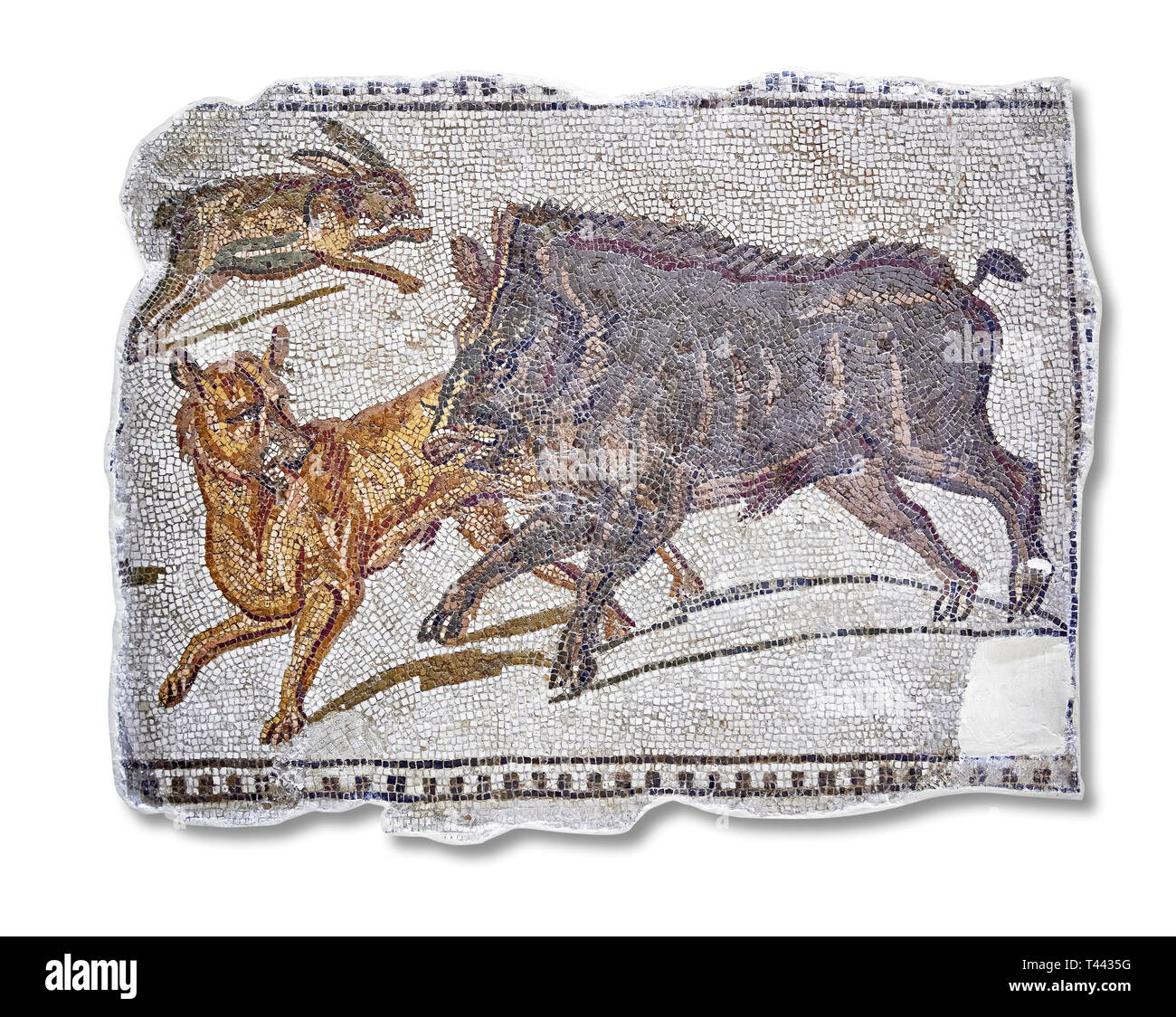 Classical roman antiquity boar hi-res stock photography and images - Alamy