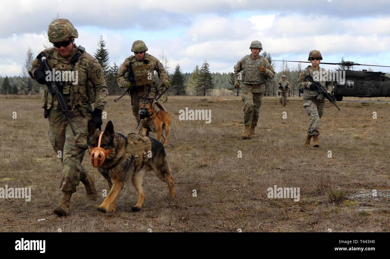 42nd military police brigade hi-res stock photography and images - Alamy