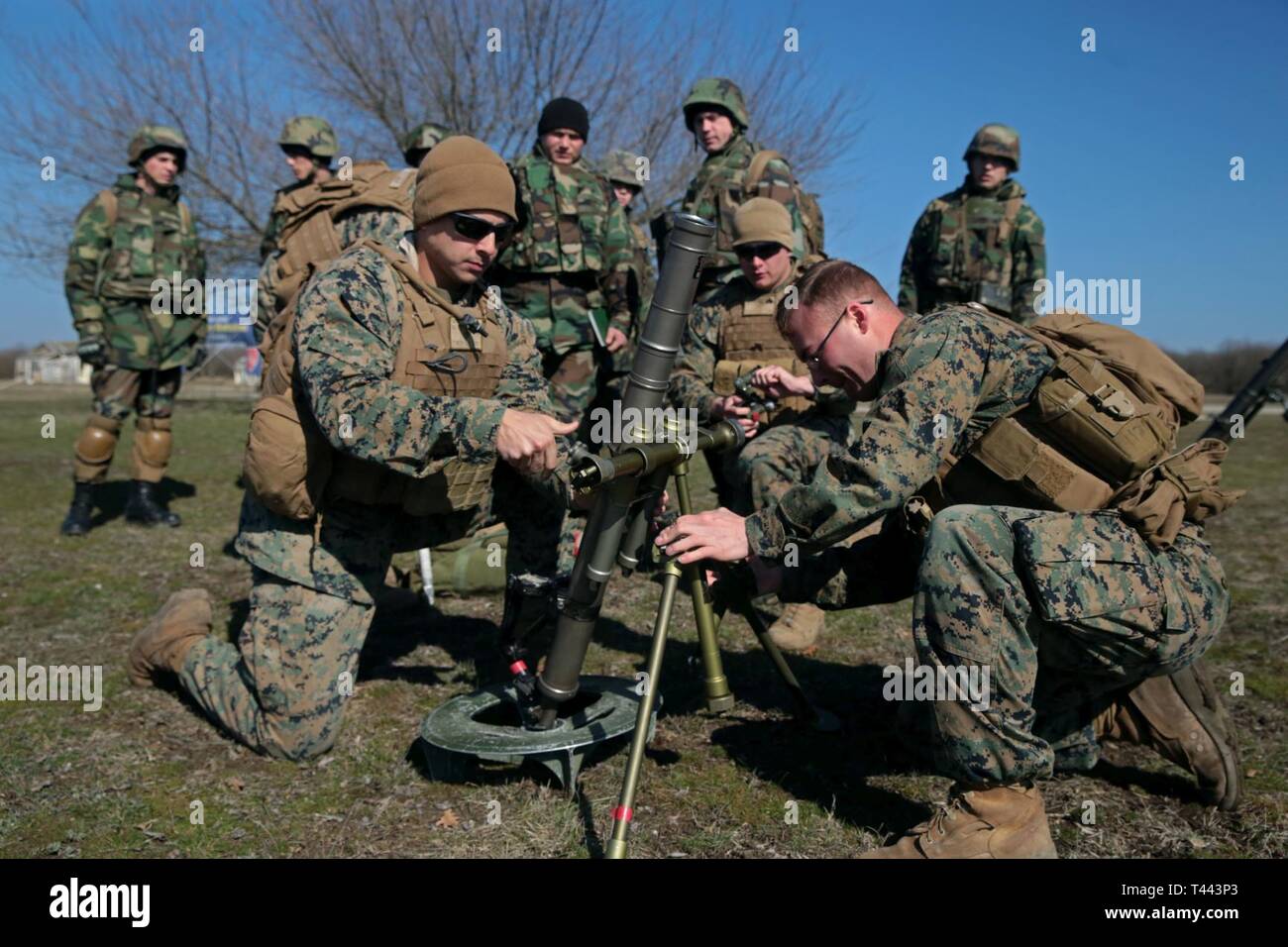 Infantry drill exercises hi-res stock photography and images - Alamy