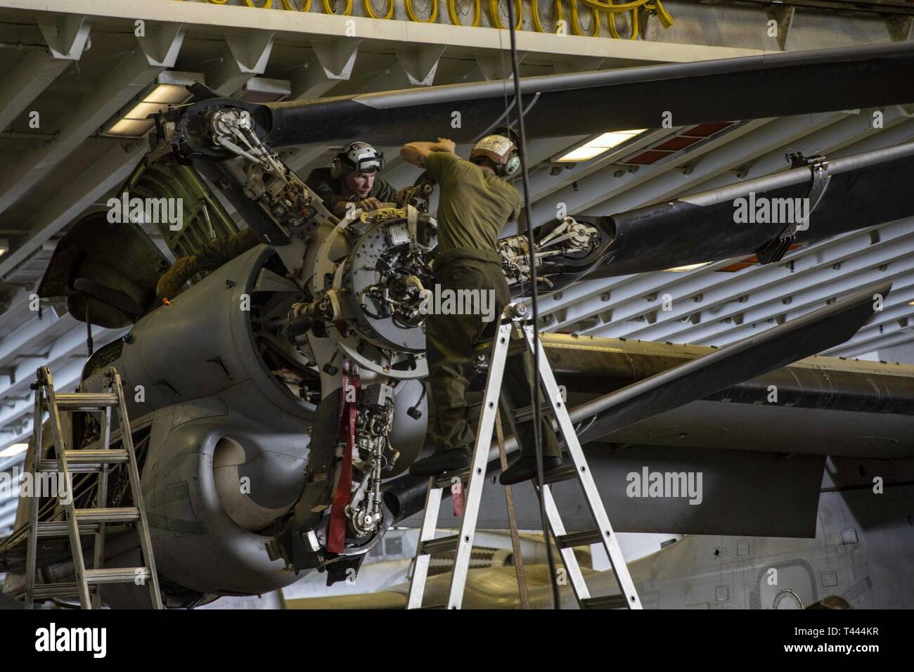 Emiliano flores hi-res stock photography and images - Alamy