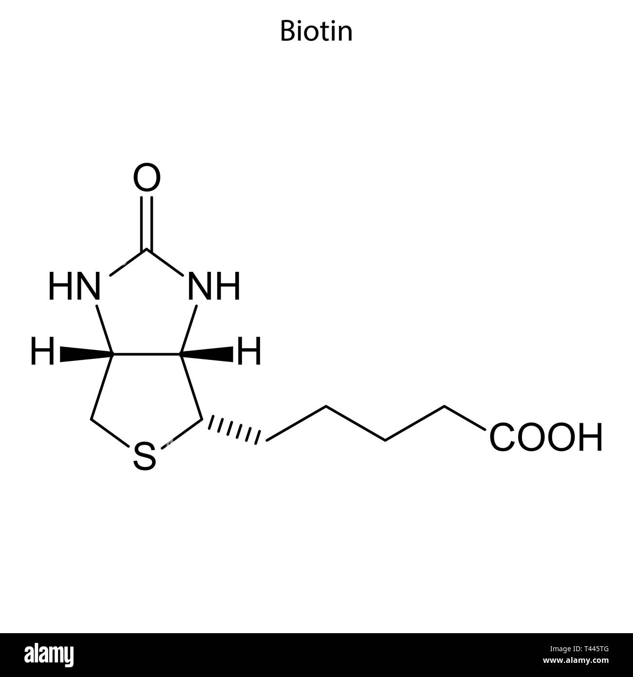 Skeletal formula of Biotin. Vitamin B 7 chemical molecule Stock Vector ...