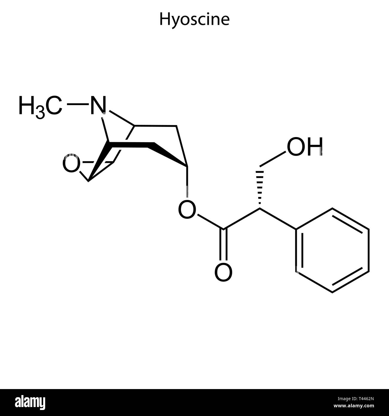 Hyoscine hi-res stock photography and images - Alamy