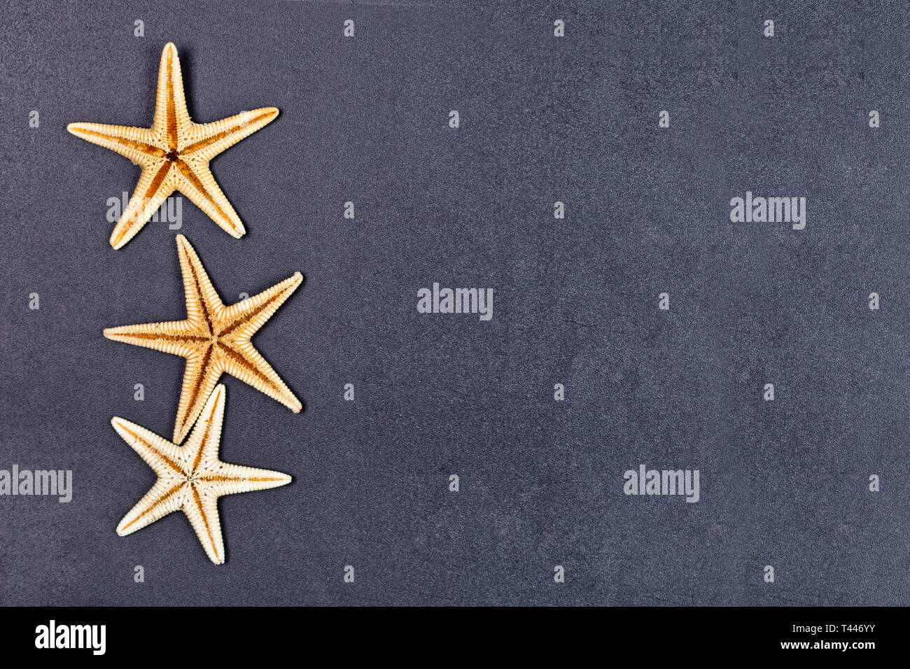 Top view of three starfish on black background. With copyspace Stock ...