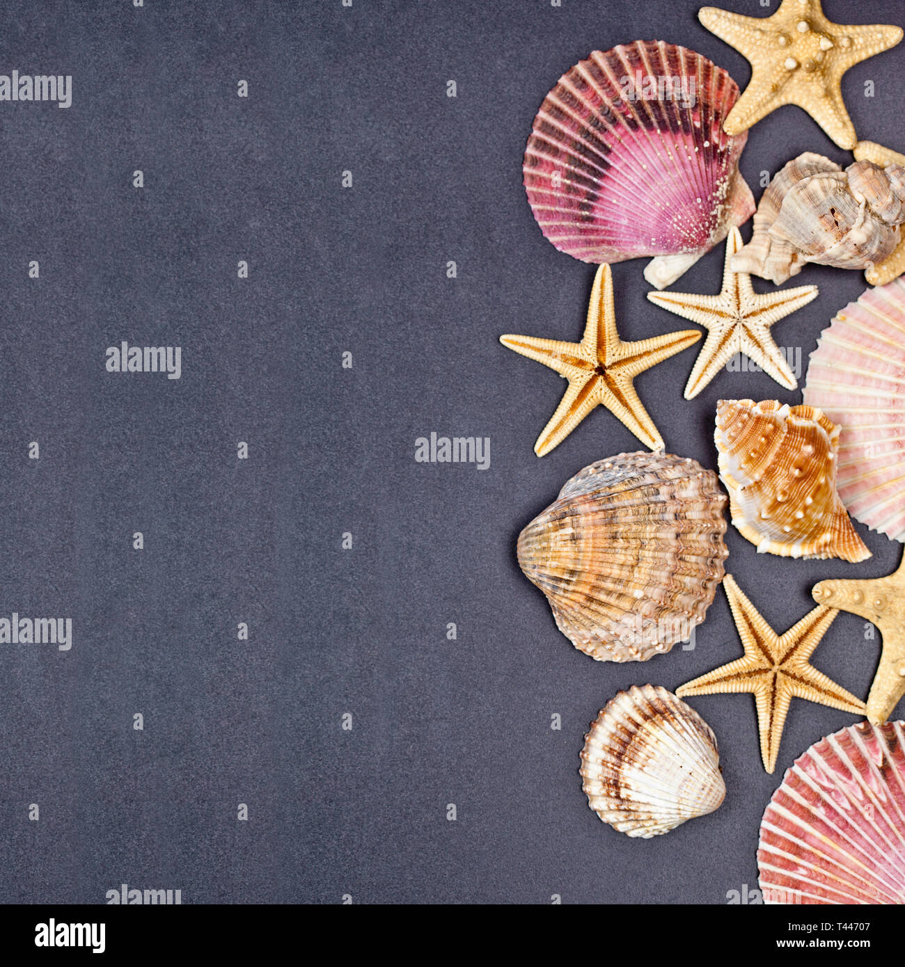 Top view of shells and starfish group on black background. With ...