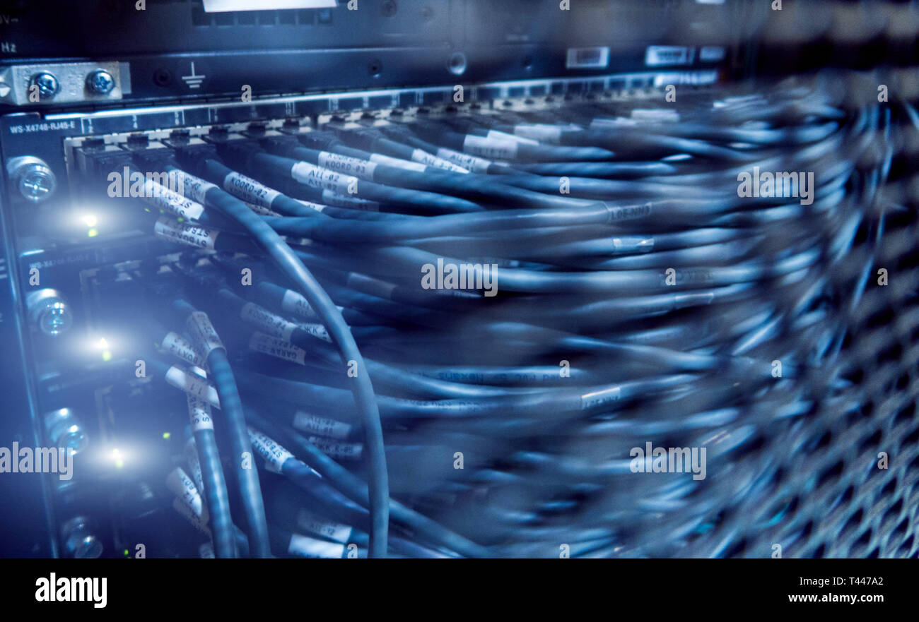 Network cables connected to switch - closeup of data center hardware ...