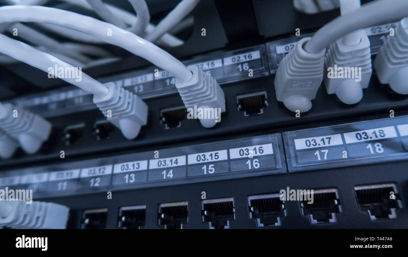 Network cables connected to switch - closeup of data center hardware ...