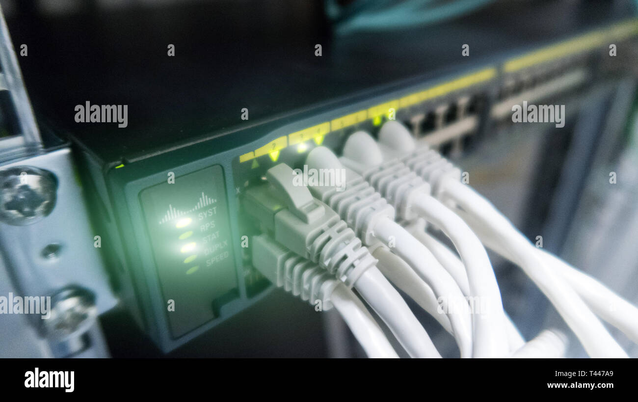 Network cables connected to switch - closeup of data center hardware ...