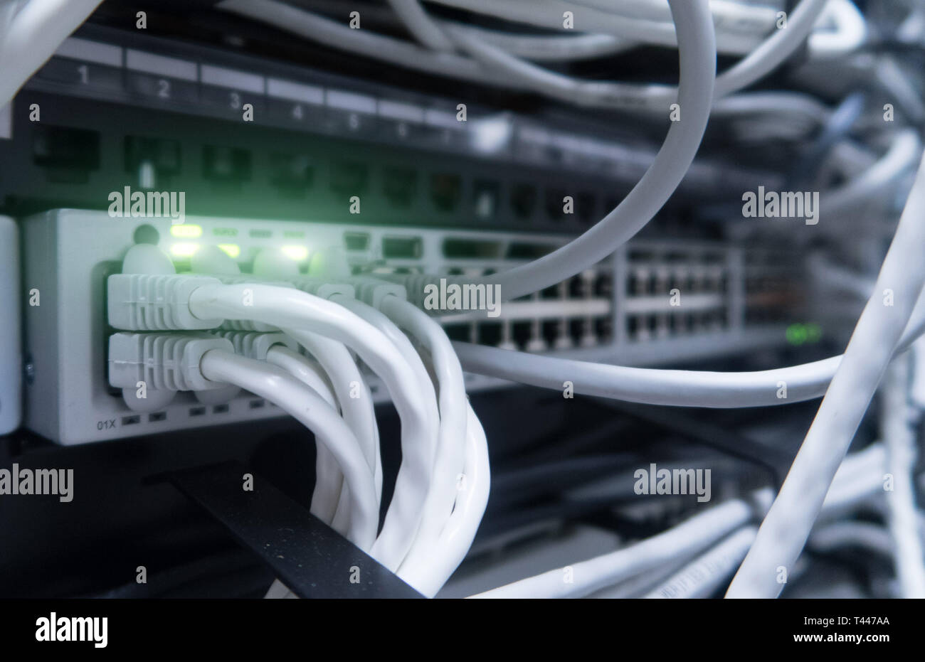 Network cables connected to switch - closeup of data center hardware ...