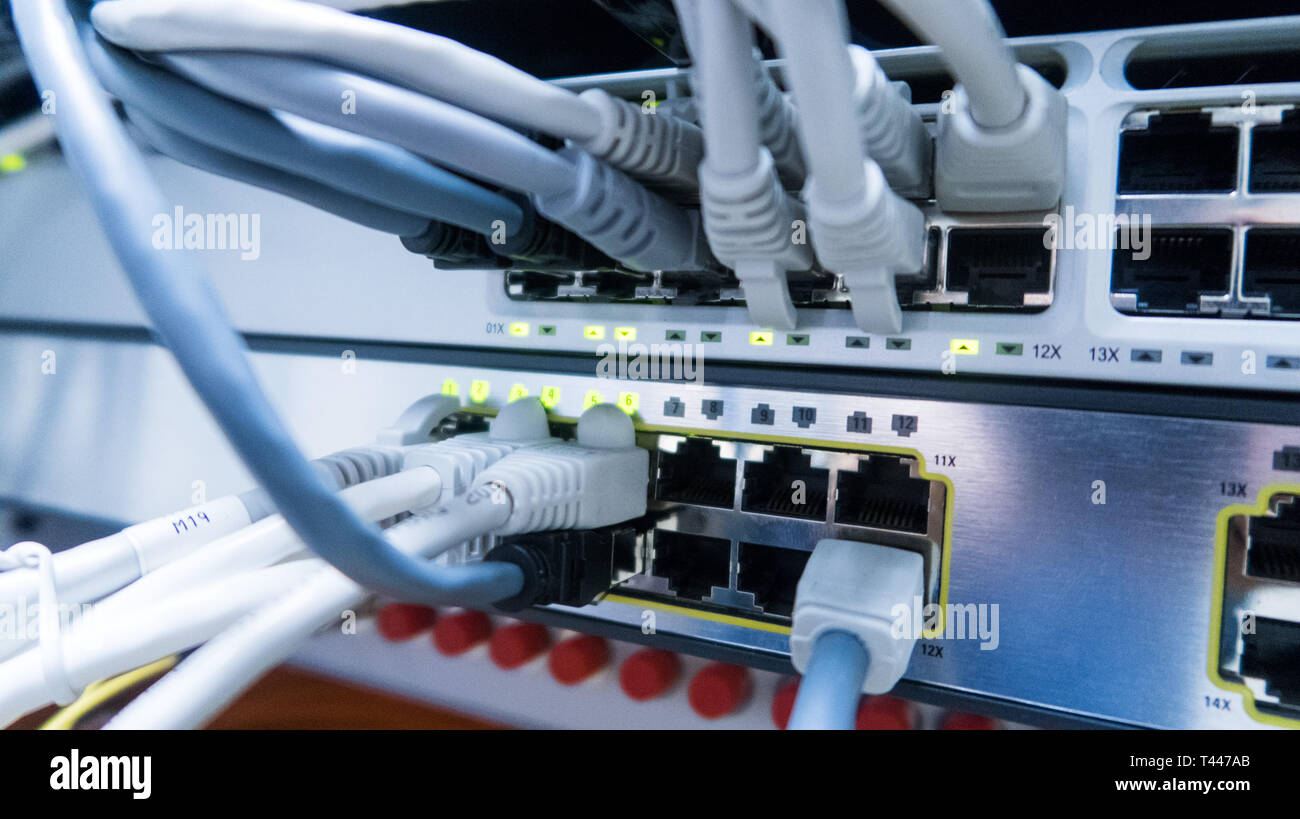 Network cables connected to switch - closeup of data center hardware ...