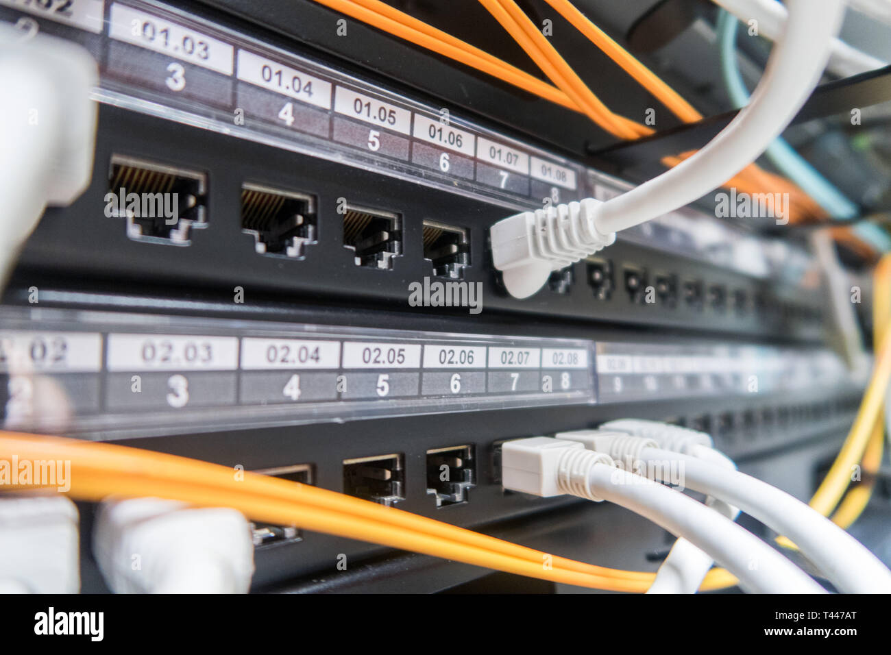 Network cables connected to switch - closeup of data center hardware ...
