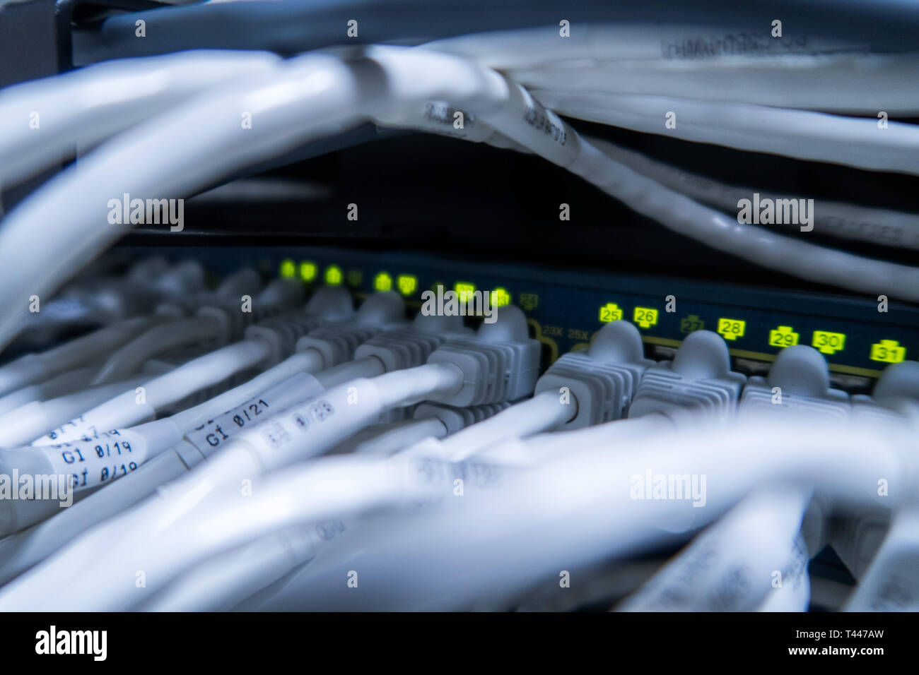 Network cables connected to switch - closeup of data center hardware ...