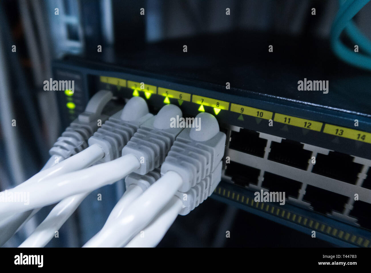 Network cables connected to switch - closeup of data center hardware ...