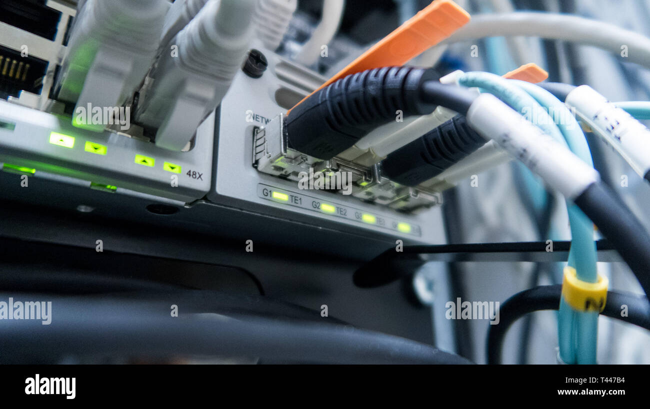 Network cables connected to switch - closeup of data center hardware ...