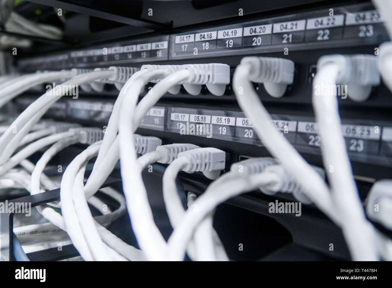 Network cables connected to switch - closeup of data center hardware ...